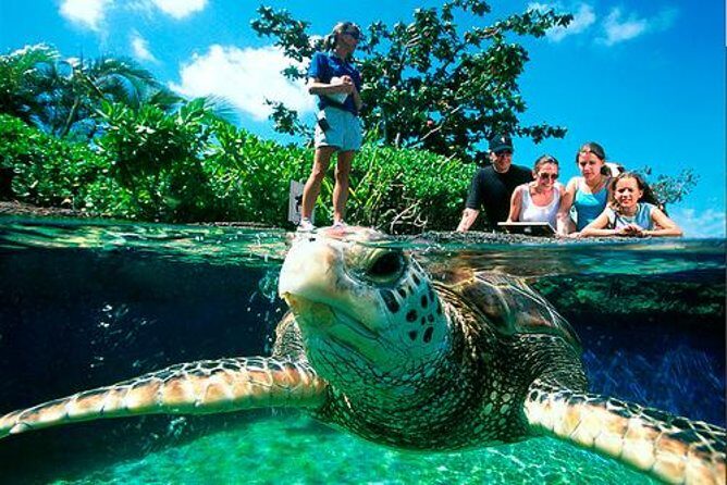 Palma Aquarium with return bus from Port Alcudia - Transport and Timing: What to Expect