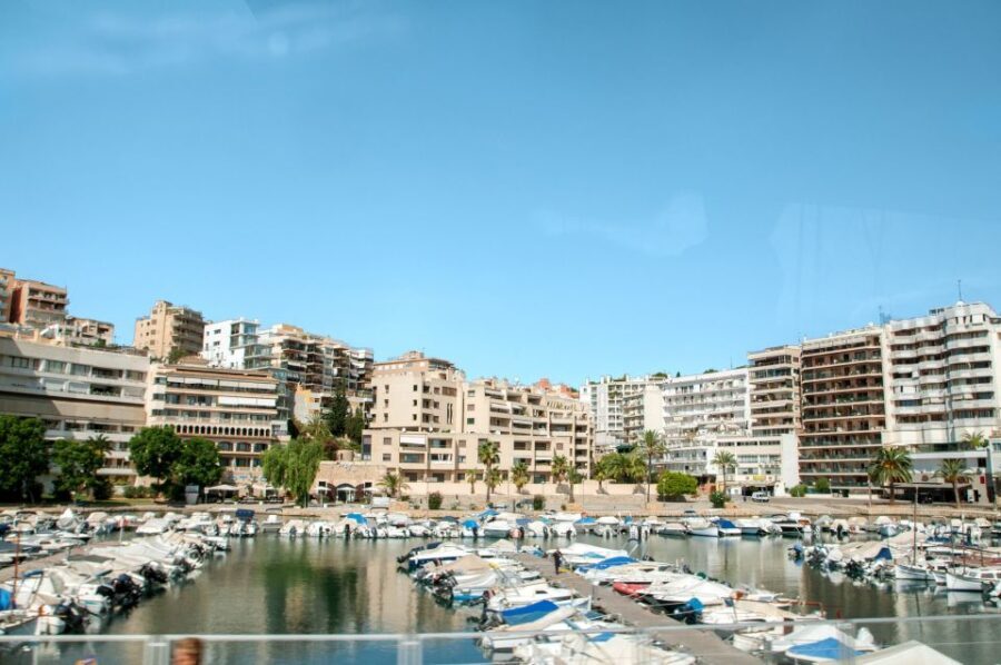 Palma de Mallorca: Full-Day Tour with Departure Options - Authentic Insights from Travelers