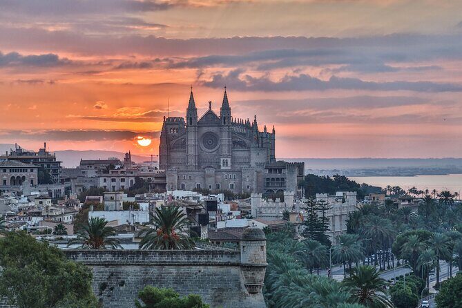 Palma de Mallorca : Private Custom Walking Tour with A Guide - The Tour Experience: What You Can Expect