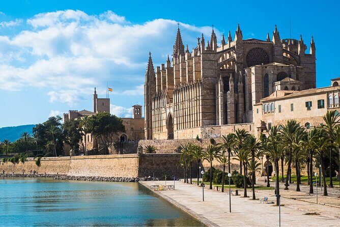Palma de Mallorca: Walking Tour, Cathedral & Local Tasting - Practical Details to Consider