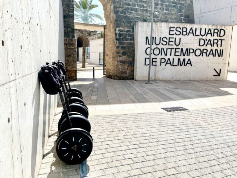 Palma: Private Guided Segway Tour - Detailed Breakdown of the Tour