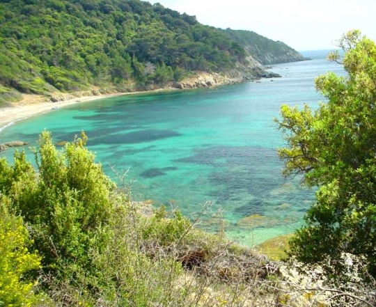 Pampelonne Beach near Saint-Tropez with parasols and sun loungers