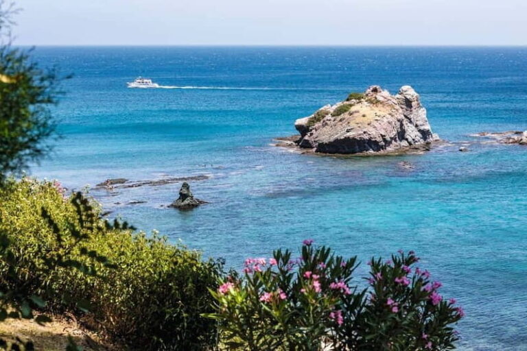 Paphos: Zoo Visit and Blue Lagoon Cruise with Guide & Lunch - What You Get for Your Money
