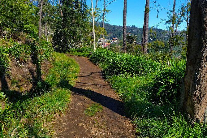Paradise Valley - Levada Walk - The Overall Experience and Value
