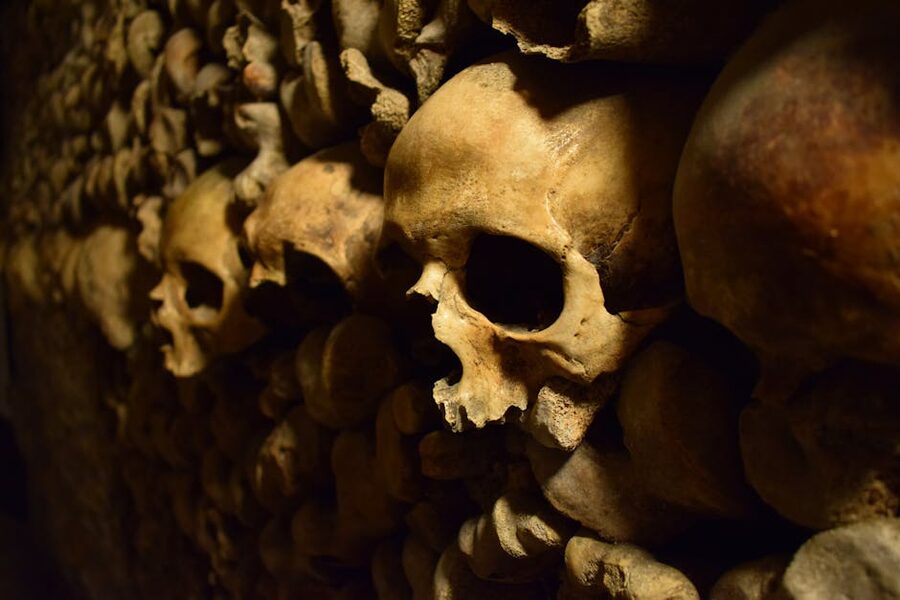 Close-up of human skulls embedded in the wall of the Paris Catacombs