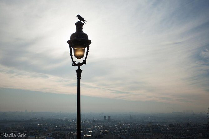 Paris Half Day Private Customized Walking Tour, Transport Options - What to Expect from the Experience