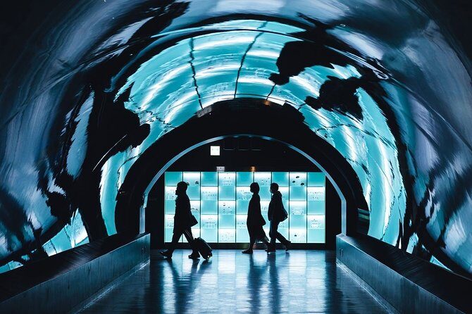 Paris Private transfer Orly Airport to Paris City - Who Is This Transfer Best For?