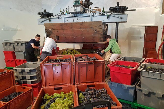 Paris Wine Day Tours exclusive Champagne tour incl. 3 visits - Transportation, Timing, and Group Size