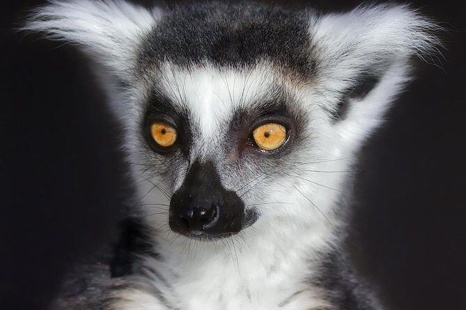 Park Entry for a Family of 4 (2 adults and 2 children) - What Visitors Say: The Honest Truth