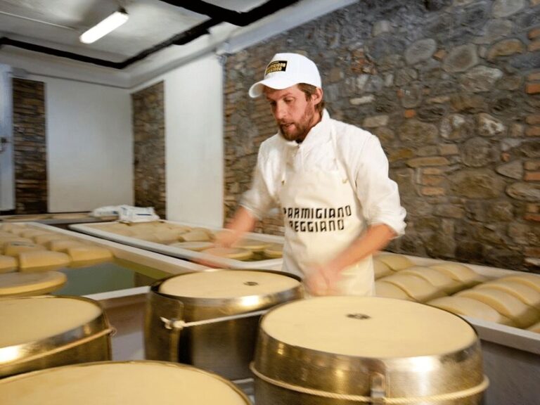 Parmesan Wheels near Parma: Tasting & Factory Tour - Who Is This Tour For?