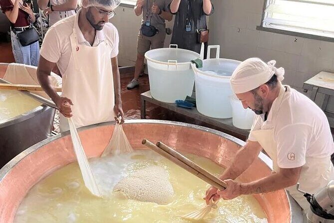Parmigiano Cheese Factory Visit and Tasting - Price and Value