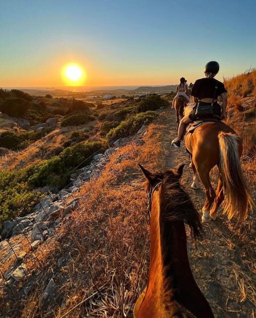 Paros: Horseback Riding Tour at Sunset - The Horses and the Ride