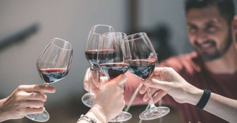 Partinico: Historic Sicilian Vineyard & Wine Tasting Tour - Who Is This Tour Best For?