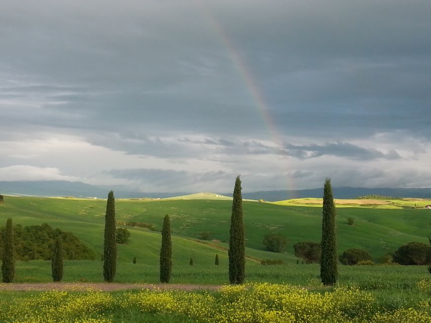 Passeggiando nell'uliveto: come nasce l'olio extrav d'oliva? - Why This Tour Offers Real Value