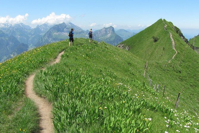 Peak to Peak Private Hiking Tour from Lucerne - Authentic Reviewer Insights