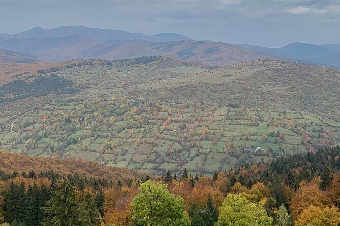 Peles castle and authentic Romanian village experience - day trip - Detailed Breakdown of the Itinerary