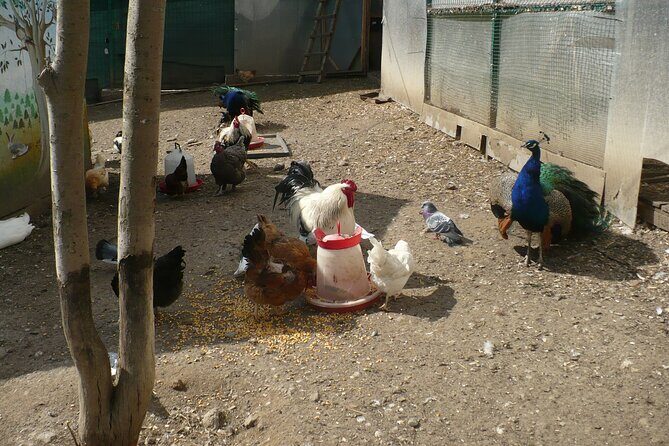 Peles Castle and optional Cantacuzino Castle from Brasov - Who Would Love This Tour?
