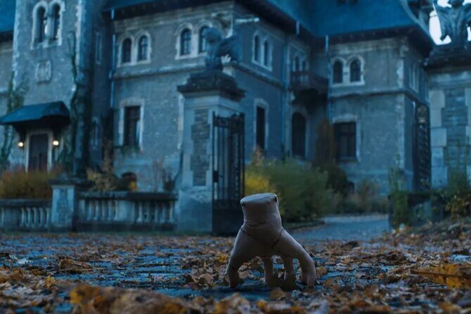 Peles Castle, Cantacuzino Castle and Bran Castle Tour From Brasov - Who Will Love This Tour?