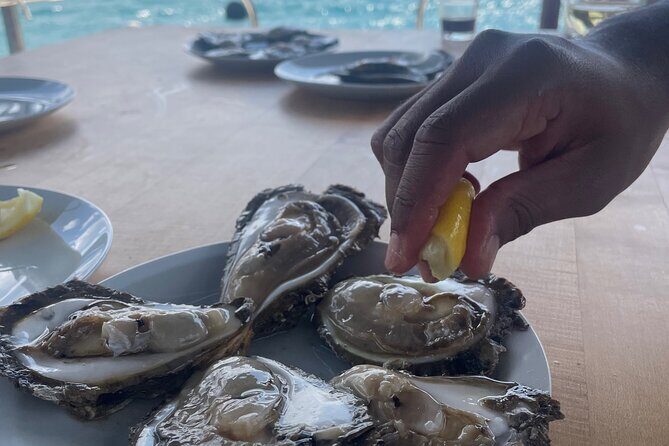 Peljeac - Wine, Oysters and Food Experience from Dubrovnik - A Walk Through Ston’s Salt Factory and Free Time