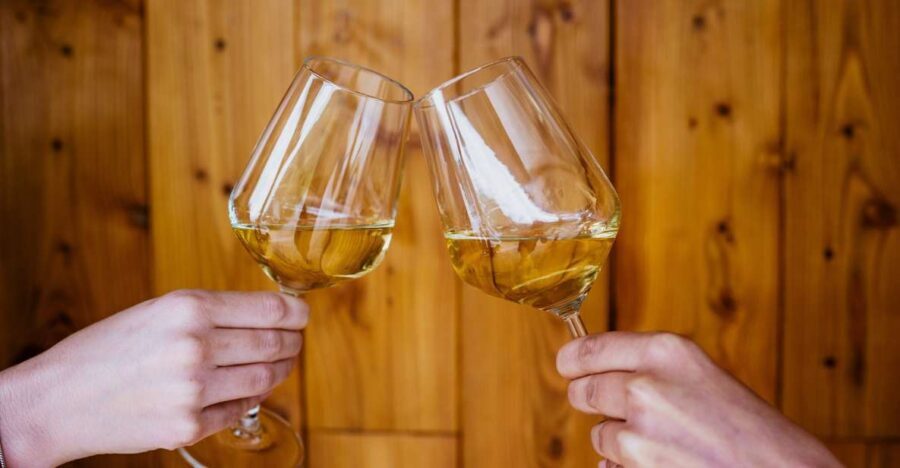 Peljeac wine tasting and local winery visit - What Makes Peljeac a Wine Lovers Dream?