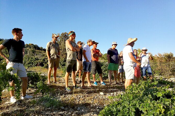 Peljesac&Ston Small-Group Food & Wine Experience from Dubrovnik - The Sum Up