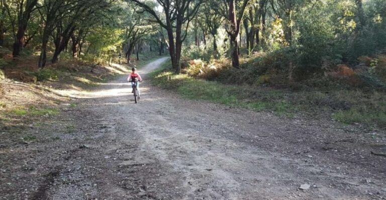 Peneda Gerês National Park: Self-Guided Electric Bike Tour - Scenic Highlights and Natural Beauty