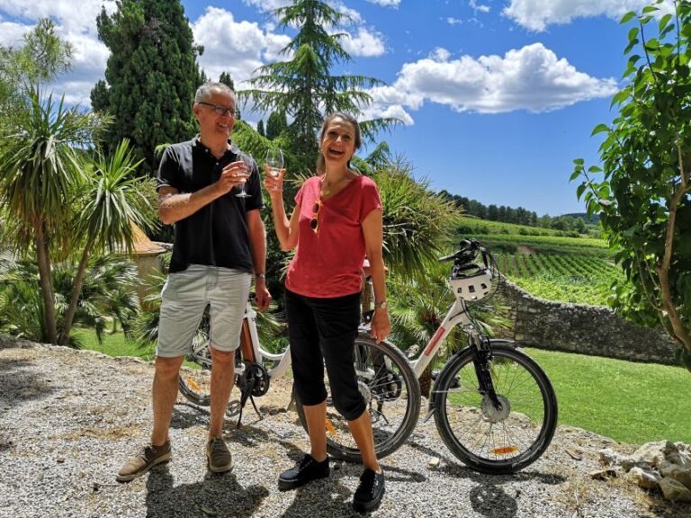Penedès/BCN: Self-Guided eBike Tour with guided Winery Visit - Practical Details and Value