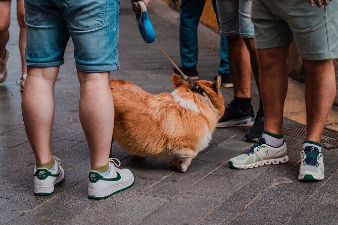 Photo Walking Tour Sagrada Familia and Gaudí in Barcelona - What Makes This Tour Worth It?