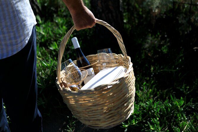 Pic-nic in the vineyard - The Experience in Practice: What You Need to Know