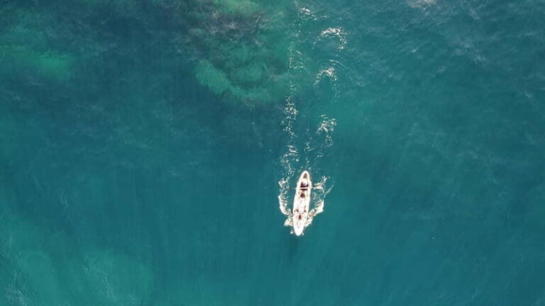 Pico island: guided kayak and snorkel tour - What to Expect and Practical Tips