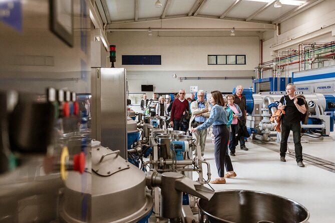 Picualia, olive oil mill tour & EVOO tasting - The Practicalities: Price, Duration, and Booking