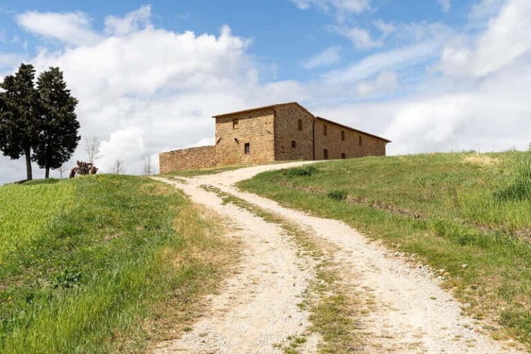 Pienza: guided tasting of Orcia DOC wine and organic EVO oil - The Itinerary in Detail