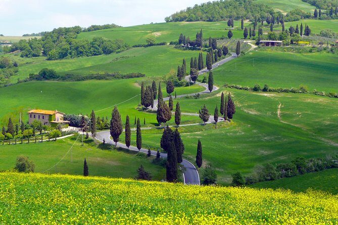 Pienza, Val d'Orcia, Montalcino wine and Pecorino cheese PRIVATE TOUR from SIENA - Pricing & Value