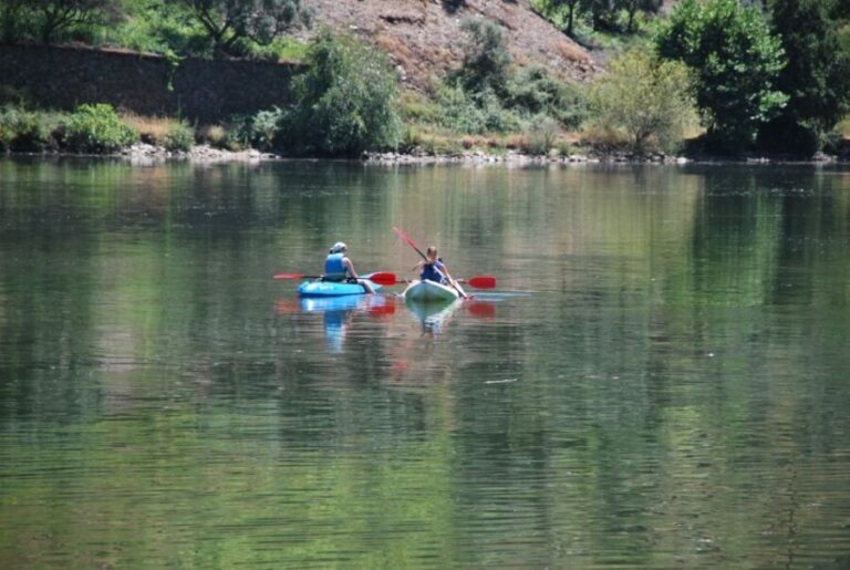 Pinhão: 4 Hour Douro Valley Kayak Rental - Why This Experience Works Well