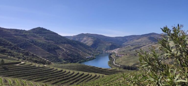 Pinhão: Douro Valley with Wine Tasting, Boat Trip and Lunch - Why This Tour Stands Out