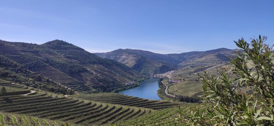 Pinhão: Douro Valley with Wine Tasting, Boat Trip and Lunch - Why This Tour Stands Out