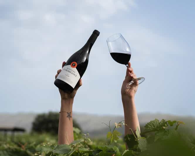 Pinhão: Quinta da Formigosa Vineyard Tour and Wine Tasting - Why This Tour Works Well