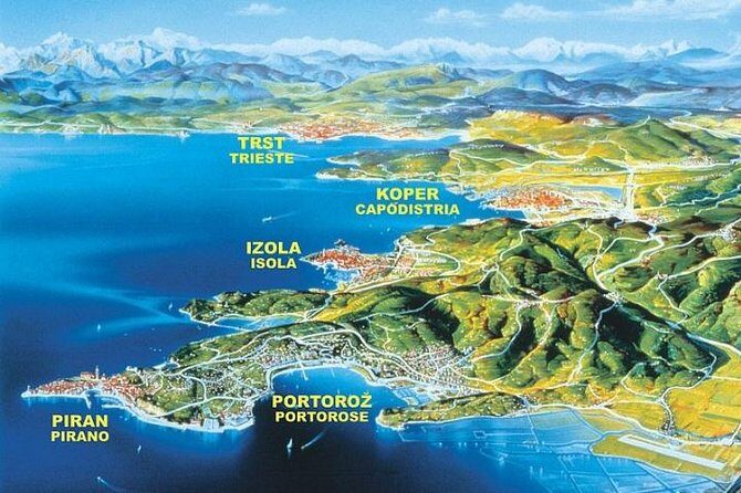 Piran and Scenic Slovenian Coast - Private Tour from Trieste - Detailed breakdown of the itinerary