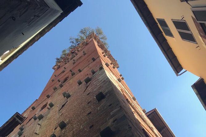 Pisa and Lucca from the Livorno Cruise Port - Itinerary Breakdown: What You Can Expect