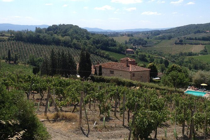 Pisa & Florence highlights shore excursion from Livorno port - What’s Included & What’s Not