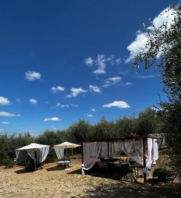 Pisa: Winery Tour and Wine Tasting with Local Food Pairing - A Closer Look at the Experience