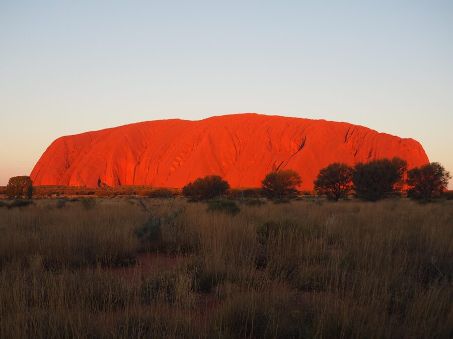 Uluru rock at soft pink sunset