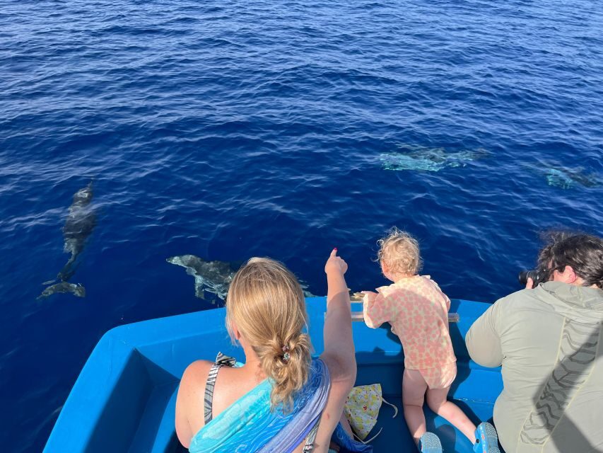 Pizzo: Fishing, Snorkeling, Dolphin Watching - What’s Included and What to Keep in Mind