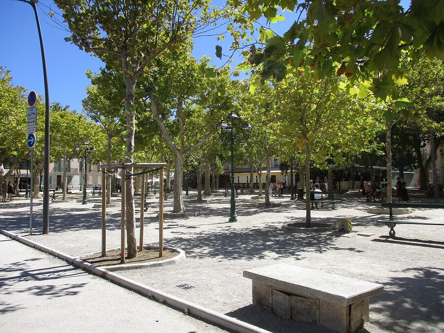 Place des Lices in Saint-Tropez under plane trees