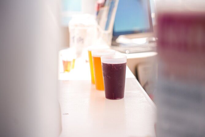 Playa Blanca: Mini Cruise to Papagayo with Swimming Stop - Food, Drinks, and Onboard Comfort