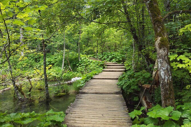Plitvice Lakes & Rastoke village private tour from Zagreb - Why This Tour Offers Great Value