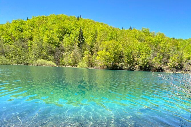 Plitvice private tour driver + guide up to 8 ppl from Zadar - Why This Tour Stands Out