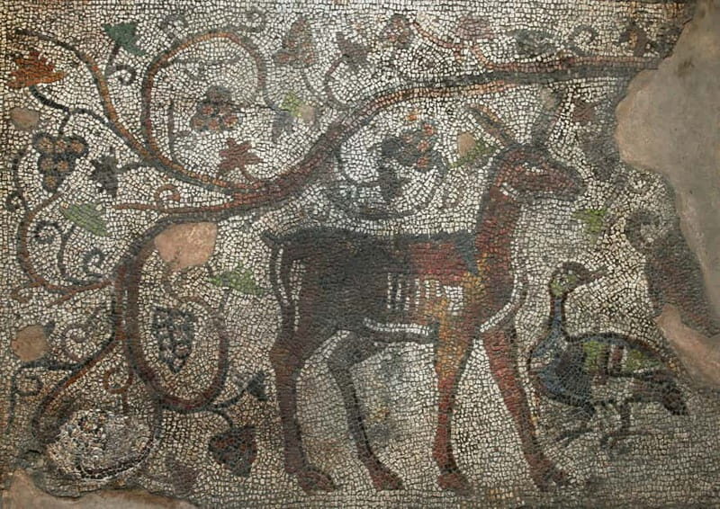 Plovdiv: Valley of the Thracian Kings Guided Day Trip - Exploring the Valley of the Thracian Kings