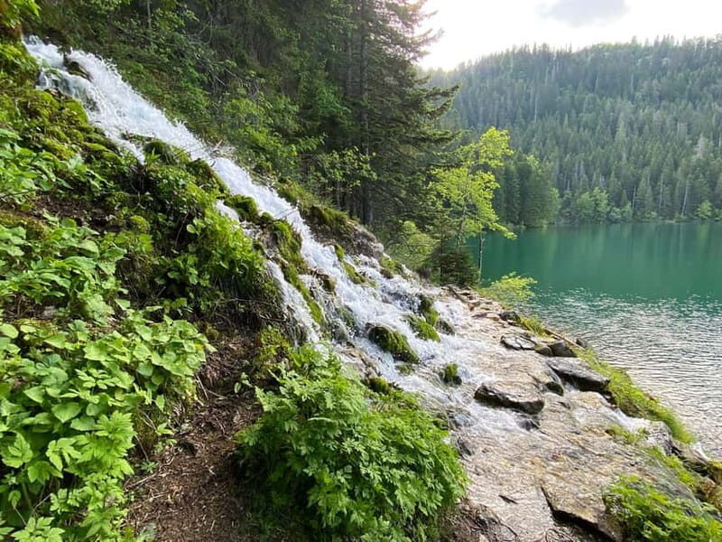 Podgorica: Durmitor National Park- Tara river, bridge & lake - The Experience of a Private, Guided Tour