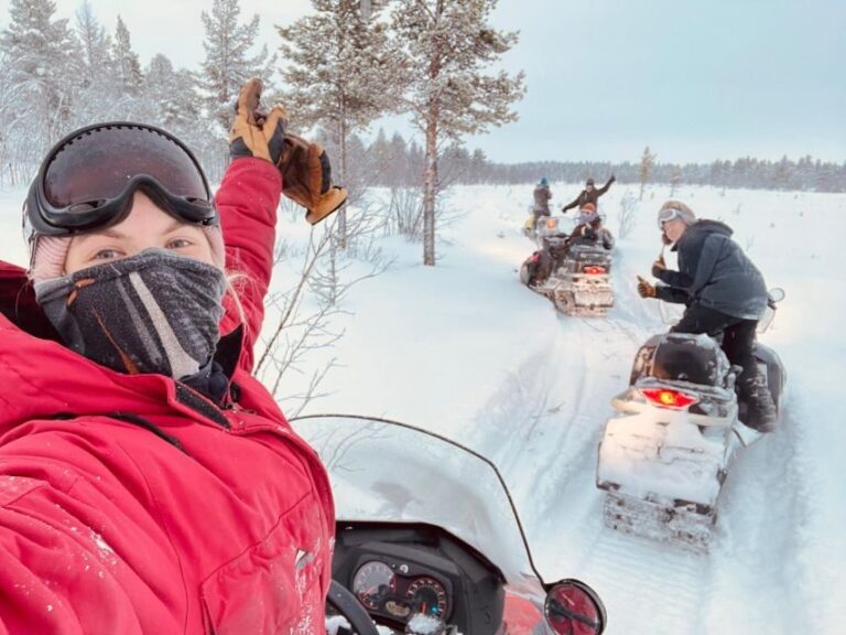 Polar Nature Tour on Snowmobile - What Makes This Snowmobile Tour Special?